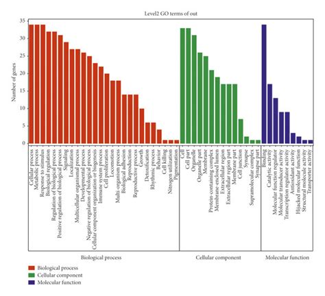 GO And Pathway Enrichment Analysis A GO Analysis Results Of 34 Download Scientific Diagram