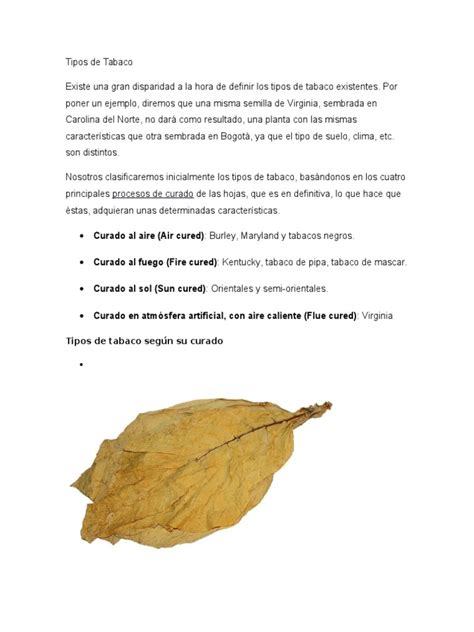 Tipos De Tabaco Pdf Fumar Tabaco Adicción