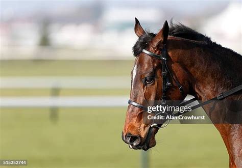 Douvan Cheltenham Photos And Premium High Res Pictures Getty Images