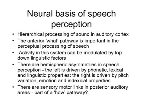 The Neural Basis Of Speech Perception A