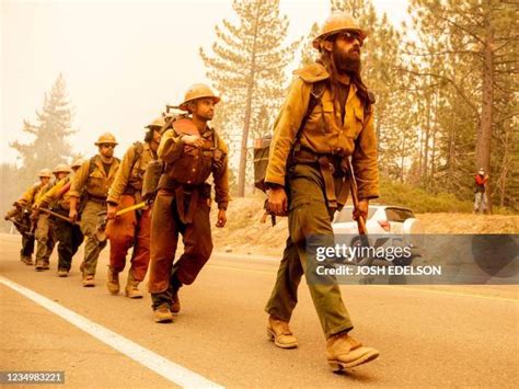 Us Forest Service Road Photos And Premium High Res Pictures Getty Images