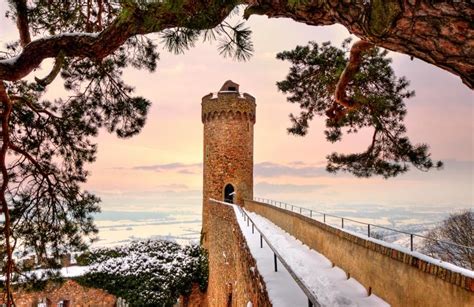 Leserinterview 10 Fragen An Bettina Dittmann