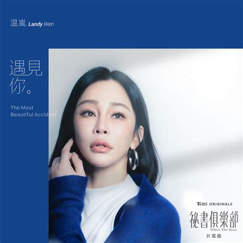 遇見你。(The Most Beautiful Accident) by 溫嵐 [Landy Wen] (Single): Reviews, Ratings, Credits, Song ...