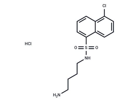 Calmodulin Antagonist 1 Targetmol