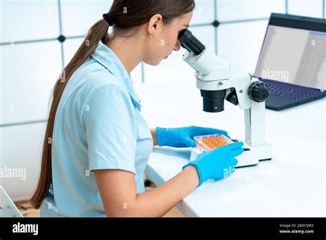 Cell Viability And Cytotoxicity Assays Genetic Research Often Involves