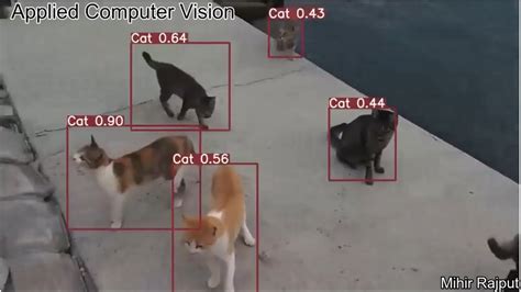 do object detection model by williansalceda fiverr ph