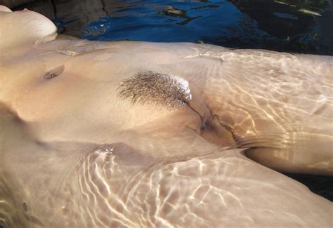 Search Results Vicki Chase Violet Myers Nude Porn Photo Set Pics Erotic Beauties