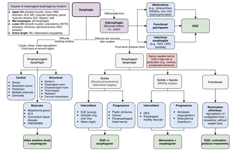 Dysphagia Differential Diagnosis Algorithm Oropharyngeal Grepmed