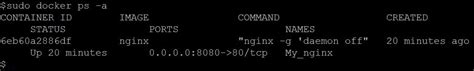 How To Dockerize Nginx 5 Steps
