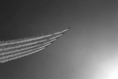 무료 이미지 비행 빛 검정색과 흰색 화이트 사진술 웨이브 선 어둠 검은 단색화 닫다 모양 매크로 사진