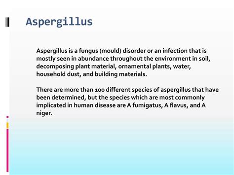 Ppt Aspergillus Powerpoint Presentation Free Download Id7924586