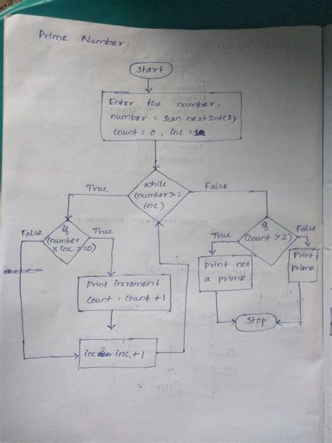 While Loop Programs Java