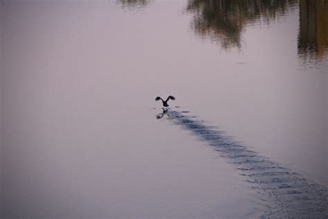 Six Python Tips For Geospatial Data Science By Abdishakur Tds Archive Medium