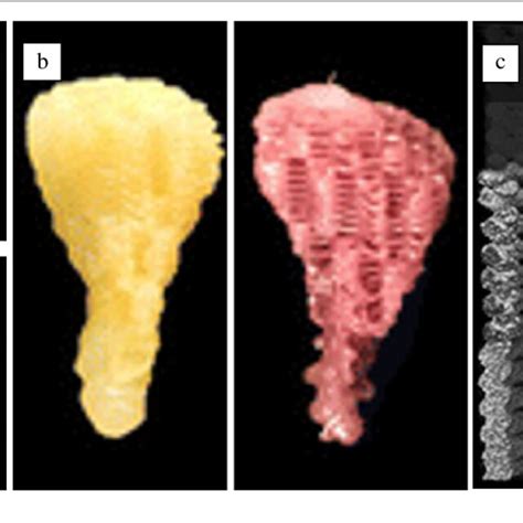 Composite 3d Printed Scaffolds For Bone Regeneration A Top Download Scientific Diagram