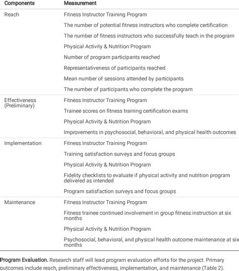 Summary Of Program Evaluation Components And Measurement Outcomes Download Scientific Diagram