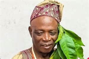 Actress Peju Ogunmola Loses Only Son The Nation