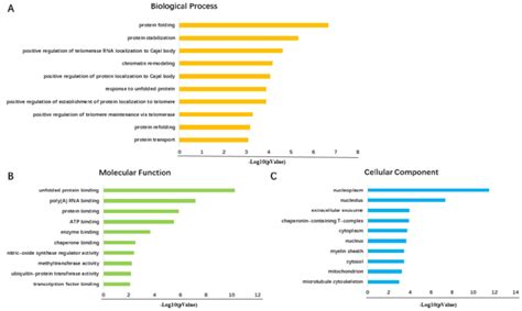 Diagrams Of Top 10 Significant Pathways Of Go Enrichment Analysis A Download Scientific