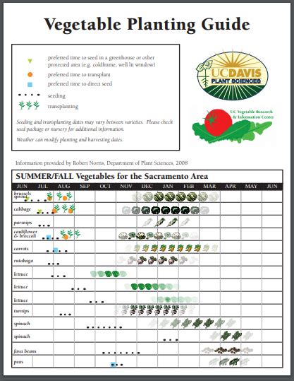 Which Vegetables Can I Plant Now In Southern California Greg Alders
