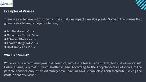 Ppt Viruses And Viroids Is There A Difference Powerpoint