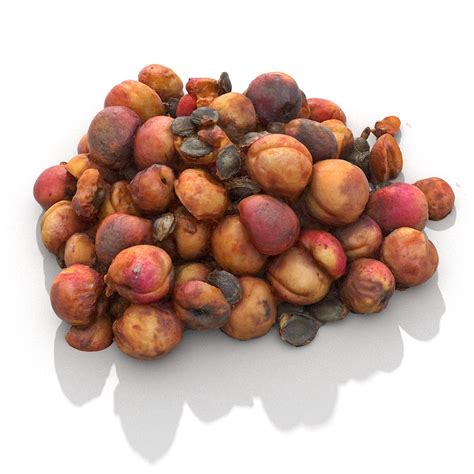 Rotten Decayed Apricot Pile Heap Mound 2 3d Model 39 3ds Max