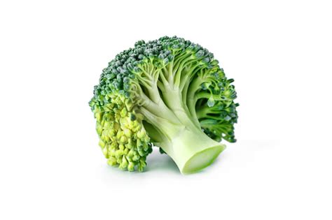 매크로 사진 녹색 신선한 야채 브로콜리 흰색 배경에 고립 된 신선한 녹색 브로콜리 브로콜리 채소는 비타민이 가득합니다 식단과 건강한 식사를 위한 채소 유기농 식품 건강한