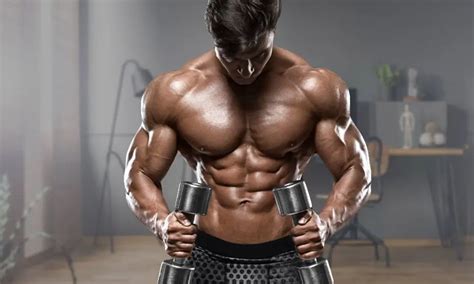 Dumbbell Workout Plan For Shoulders 5 Best Perfect Exercises At Home