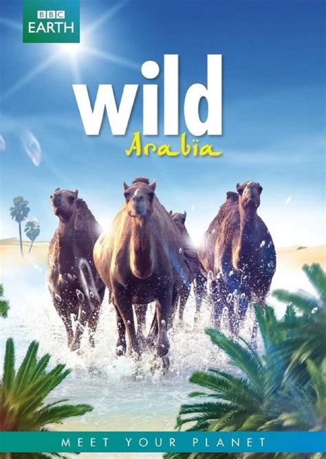 Mooiste Gebieden Op Aarde Wild Arabia Dvd Dvd Dvds Bol