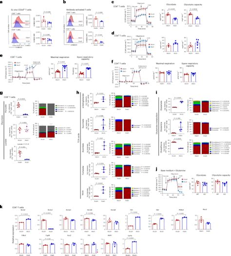 The Glucose Transporter 2 Regulates Cd8 T Cell Function Via