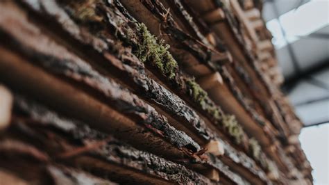 Sawn Timber Quercus D O O
