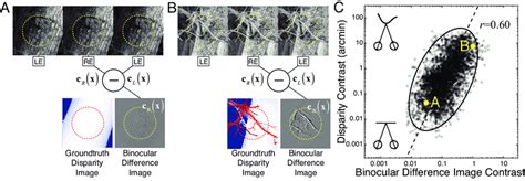 Joint Statistics Of Disparity Contrast And Binocular Difference Image Download Scientific