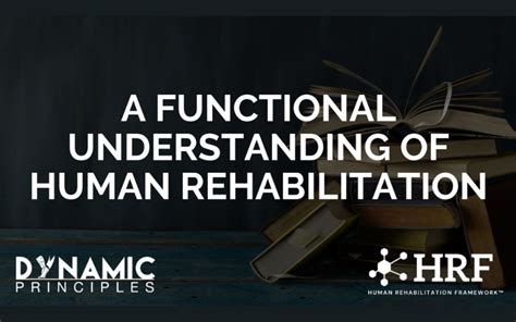 Functional Understanding Of Human Free Download