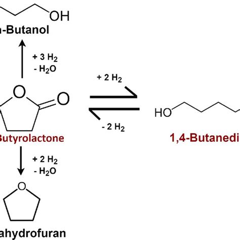 Reaction Scheme Used For The Construction Of The Kinetic Model Download Scientific Diagram