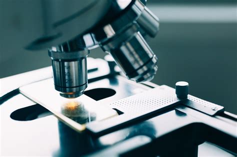 What Is Residual Solvent Analysis Accuscience Laboratories