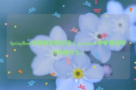 Springboot中使用定时任务（springboot中使用定时任务是什么） It文章 陈派导航