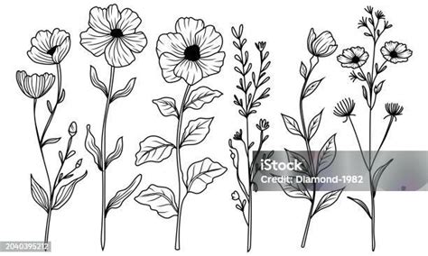 스케치 된 식물의 구색 그림이 그려진 단풍과 꽃 줄기의 선별된 세트 0명에 대한 스톡 벡터 아트 및 기타 이미지 0명 고풍스런 꽃 식물 Istock