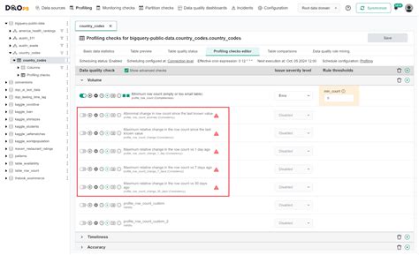 what are data profiling checks definition and examples
