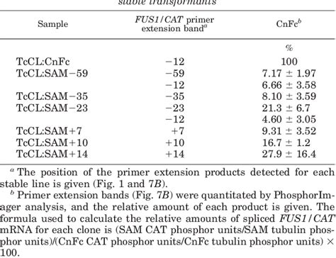 Table Iii From Mutational Analysis Of 3′ Splice Site Selection