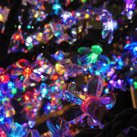 Holidynamics Dynamic Rgbww Cherry Blossom Tree 7