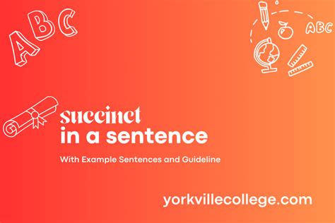 How To Use Succinct In A Sentence Easy Examples