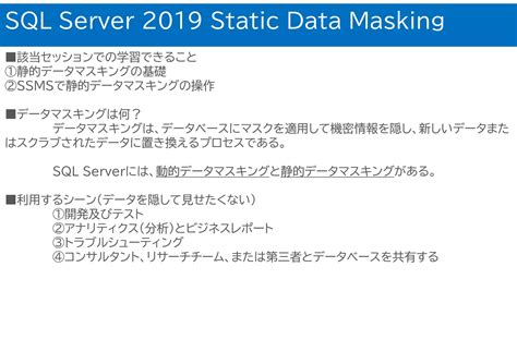 Sql Serve2019 Staticdatamaskting Pdf