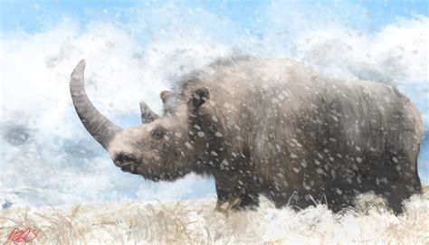 The Mysterious Woolly Rhino Prehistoricoregon