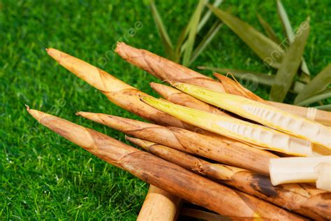 Fotografía De Ingredientes De Brotes De Bambú De Primavera Fresca