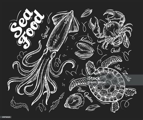 해산물 있습니다 손 드로잉 벡터 스케치 있는 거북이 게 홍합 거북이에 대한 스톡 벡터 아트 및 기타 이미지 거북이 고기
