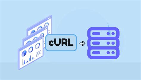 Web Scraping With Curl Best Guide 2025 Zenrows
