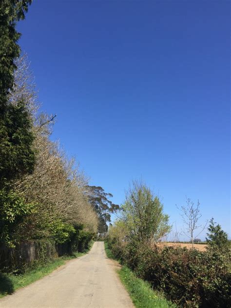 Whats The Difference Between Blue Bathing And Green Bathing Join Me