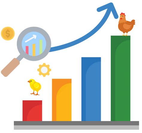 Ensuring Flock Performance Health And Livability Through A Multifactorial Approach