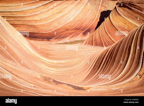 The Wave Arizona Amazing Flowing Rock Formation In The Rocky Desert