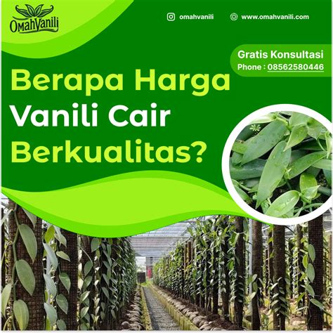 Berapa Harga Vanili Cair Dapatkan Vanili Cair Berkualitas Omah Vanili