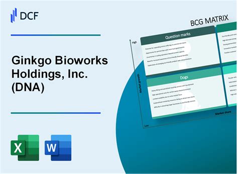 Ginkgo Bioworks Holdings Inc Dna Bcg Matrix Analysis