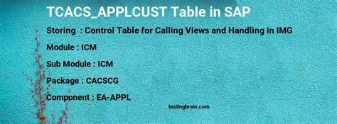 TCACS APPLCUST SAP Table For Control Table For Calling Views And Handling In IMG